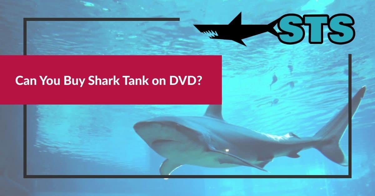 From Million-Dollar Ideas to Flops: 28 Shark Tank Failures That Left Us ...